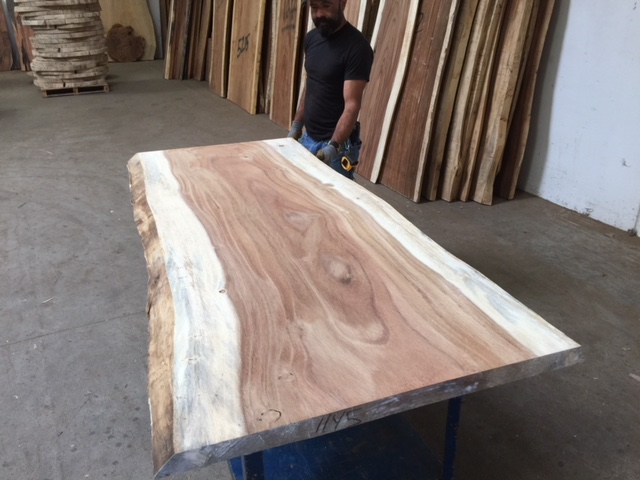 Parota Slab #1145 Live Edge | Tropical Exotic Hardwoods