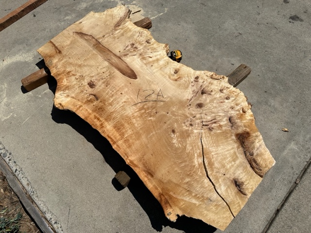 Mappa Burl Slab #12A | Tropical Exotic Hardwoods