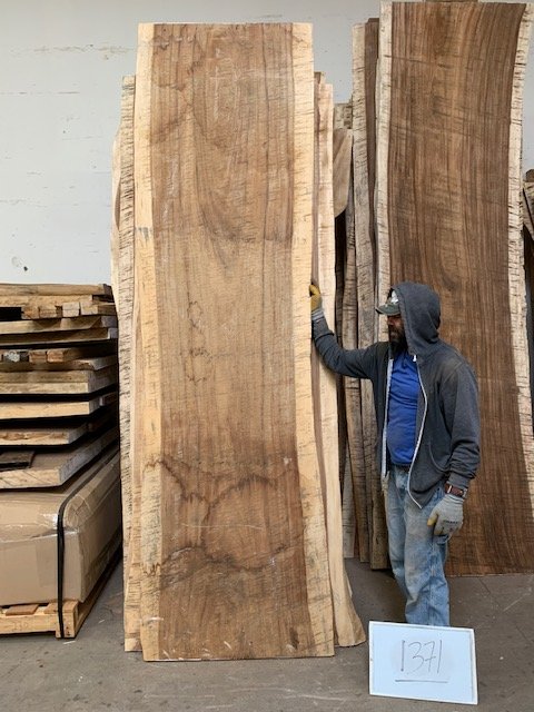 Parota Slab #1371 Live Edge | Tropical Exotic Hardwoods