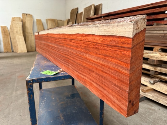 Padauk (Padouk) Slab #15 | Tropical Exotic Hardwoods
