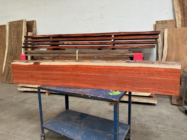 Padauk (Padouk) Slab #15 | Tropical Exotic Hardwoods
