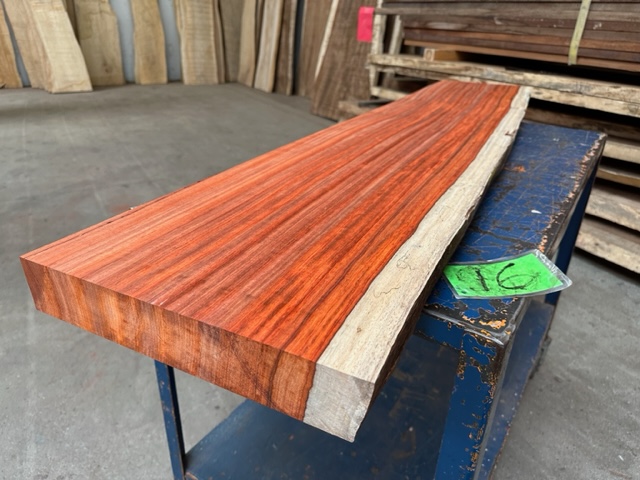 Padauk (Padouk) Slab #16 | Tropical Exotic Hardwoods