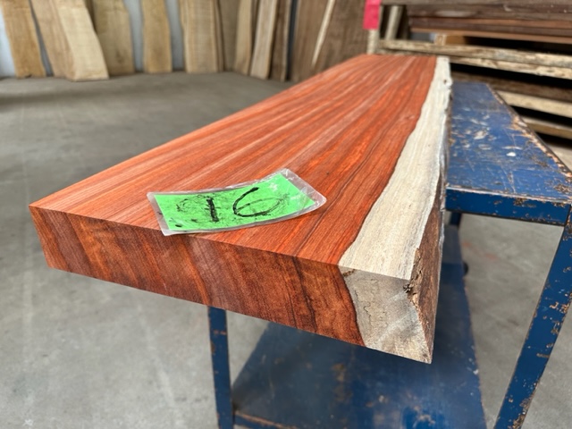 Padauk (Padouk) Slab #16 | Tropical Exotic Hardwoods