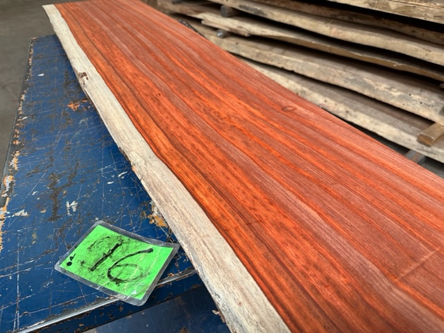 Padauk (Padouk) Slab #16 | Tropical Exotic Hardwoods