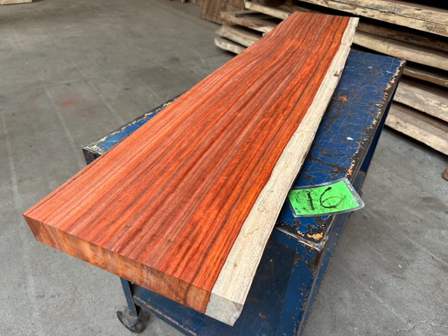 Padauk (Padouk) Slab #16 | Tropical Exotic Hardwoods