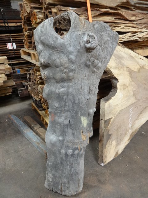 Black Walnut Slab (Cap) #10 | Tropical Exotic Hardwoods