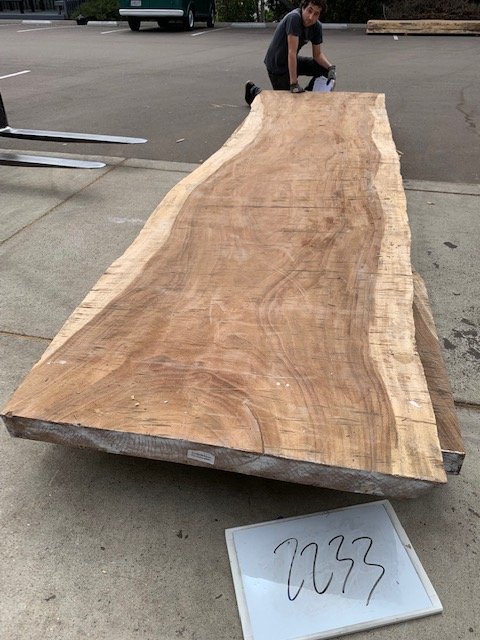 Parota Slab #2233 Live Edge | Tropical Exotic Hardwoods