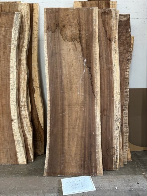 Parota (Guanacaste) Slab #227 Live Edge | Tropical Exotic Hardwoods