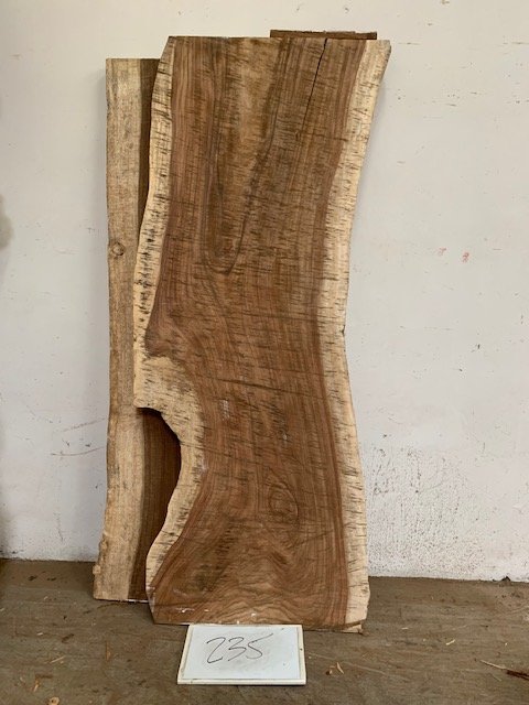 Parota Slab #235 Live Edge | Tropical Exotic Hardwoods