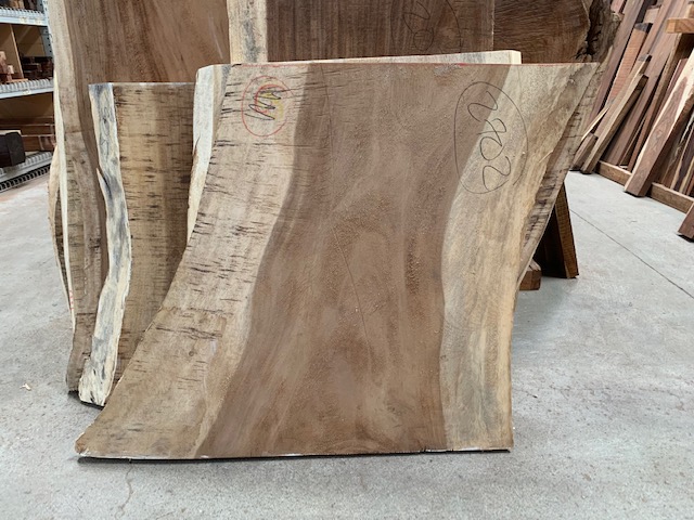 *Parota Slab #2702 Live Edge | Tropical Exotic Hardwoods