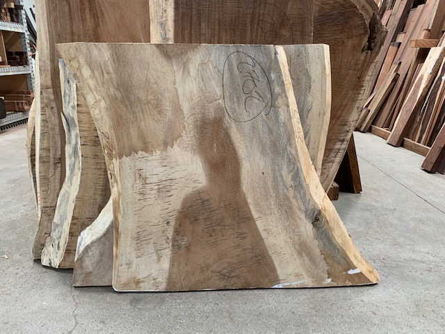 *Parota Slab #2702 Live Edge | Tropical Exotic Hardwoods