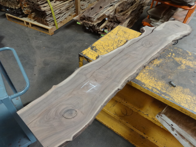 Black Walnut Slab #14 | Tropical Exotic Hardwoods