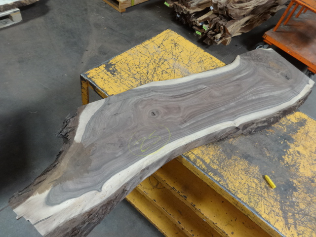 Black Walnut Slab #25 | Tropical Exotic Hardwoods