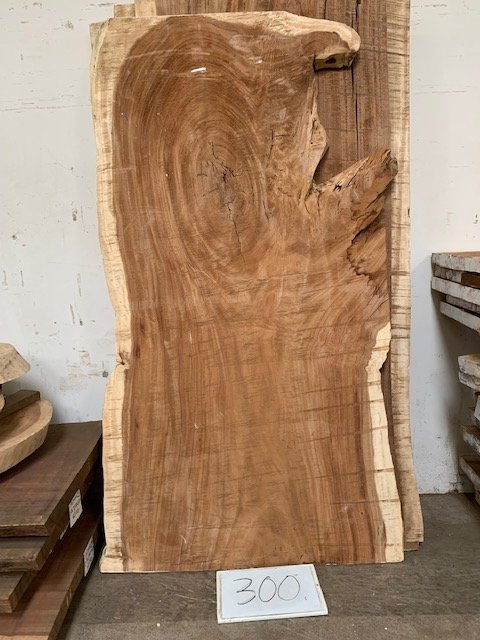Parota Slab #300 Live Edge | Tropical Exotic Hardwoods