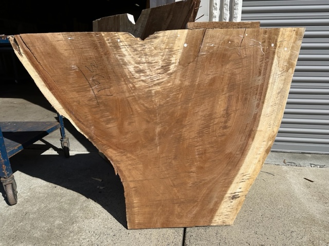 Parota Slab #3611 Live Edge | Tropical Exotic Hardwoods