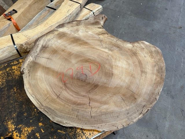 Parota Slab #279D Round | Tropical Exotic Hardwoods