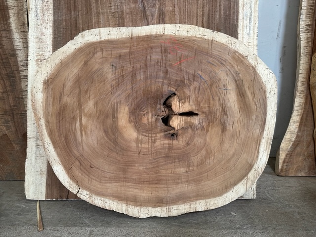 Parota Slab #384 Round | Tropical Exotic Hardwoods
