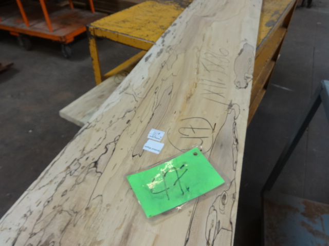 Spalted Maple #47 | Tropical Exotic Hardwoods