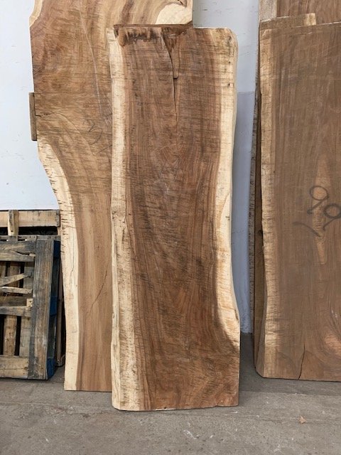 Parota Slab #49 Live Edge | Tropical Exotic Hardwoods