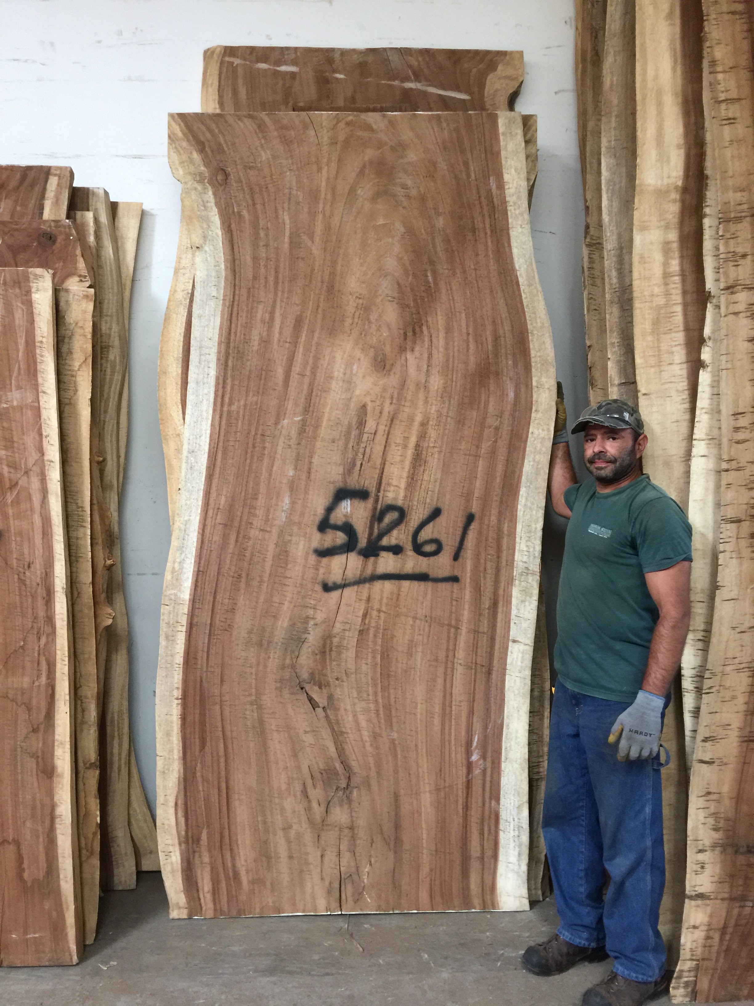 Parota Slab #5261 Live Edge | Tropical Exotic Hardwoods