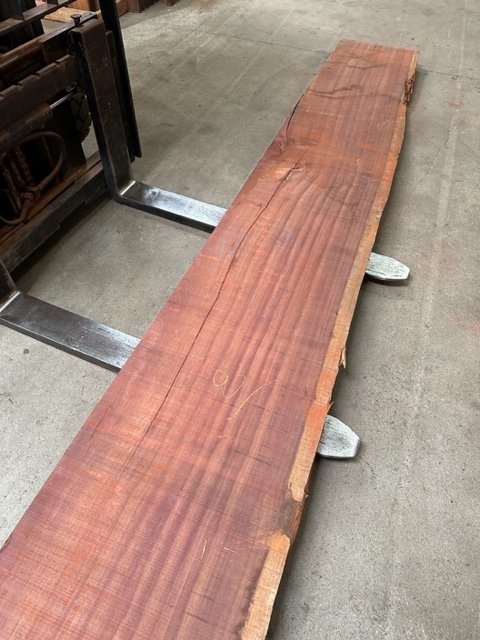Padauk (Padouk) Slab #8 | Tropical Exotic Hardwoods