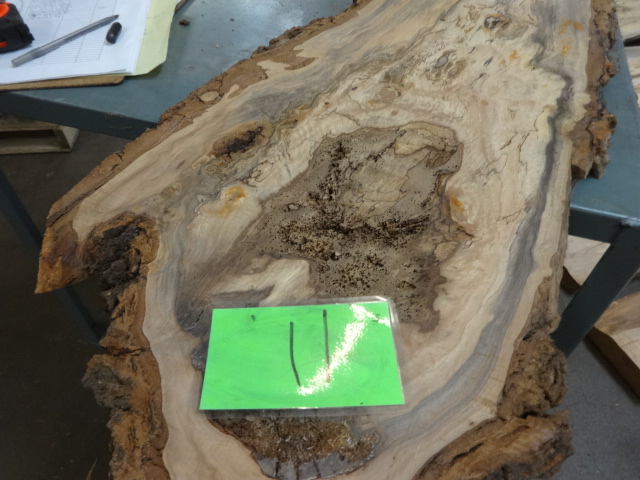 Spalted Alder Slab #11 | Tropical Exotic Hardwoods