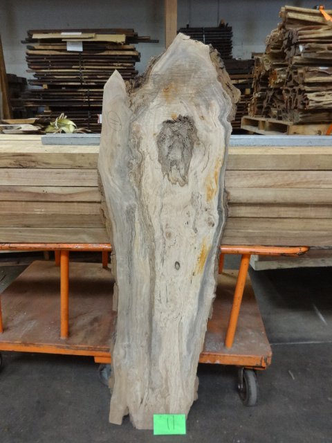 Spalted Alder Slab #11 | Tropical Exotic Hardwoods