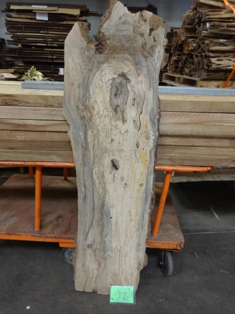 Spalted Alder Slab #12 | Tropical Exotic Hardwoods