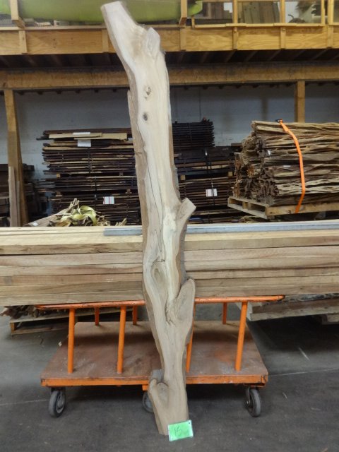 Spalted Alder Slab #15 | Tropical Exotic Hardwoods