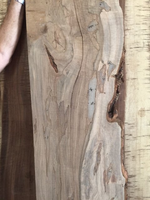 Ambrosia (Curly) Maple Slab #2 | Tropical Exotic Hardwoods