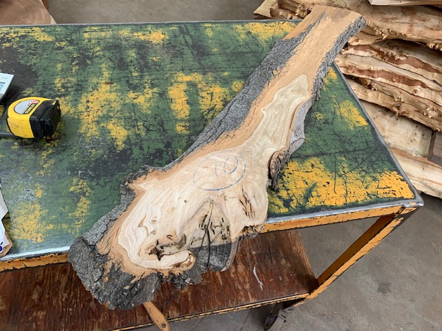 Ash Slab #10 | Tropical Exotic Hardwoods