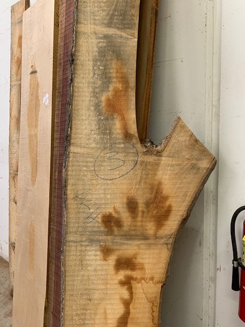 Ash Slab #3 | Tropical Exotic Hardwoods