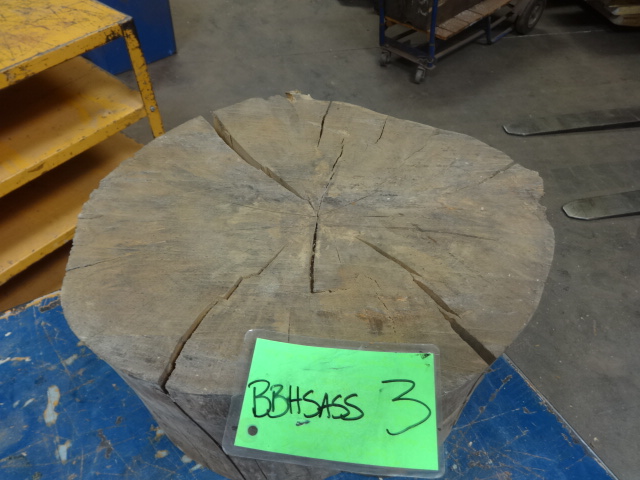 Black Heart Sassafras Log BBHSASS3 | Tropical Exotic Hardwoods