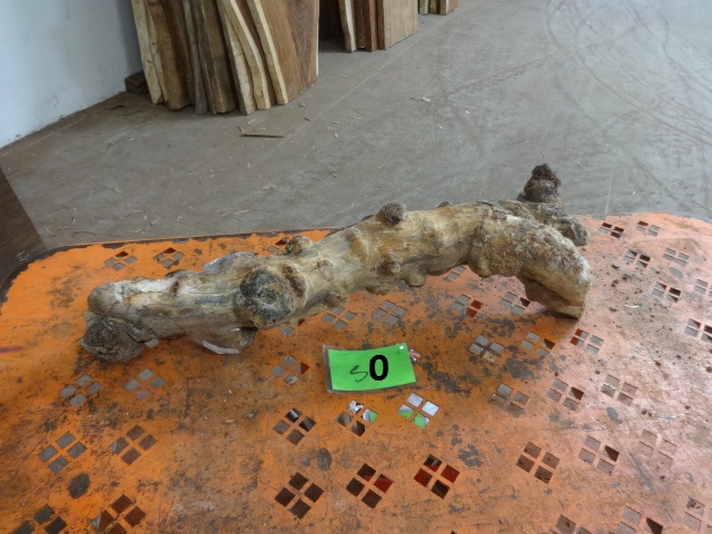 Fig Log #50 | Tropical Exotic Hardwoods