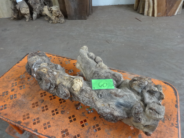 Fig Log #60 | Tropical Exotic Hardwoods