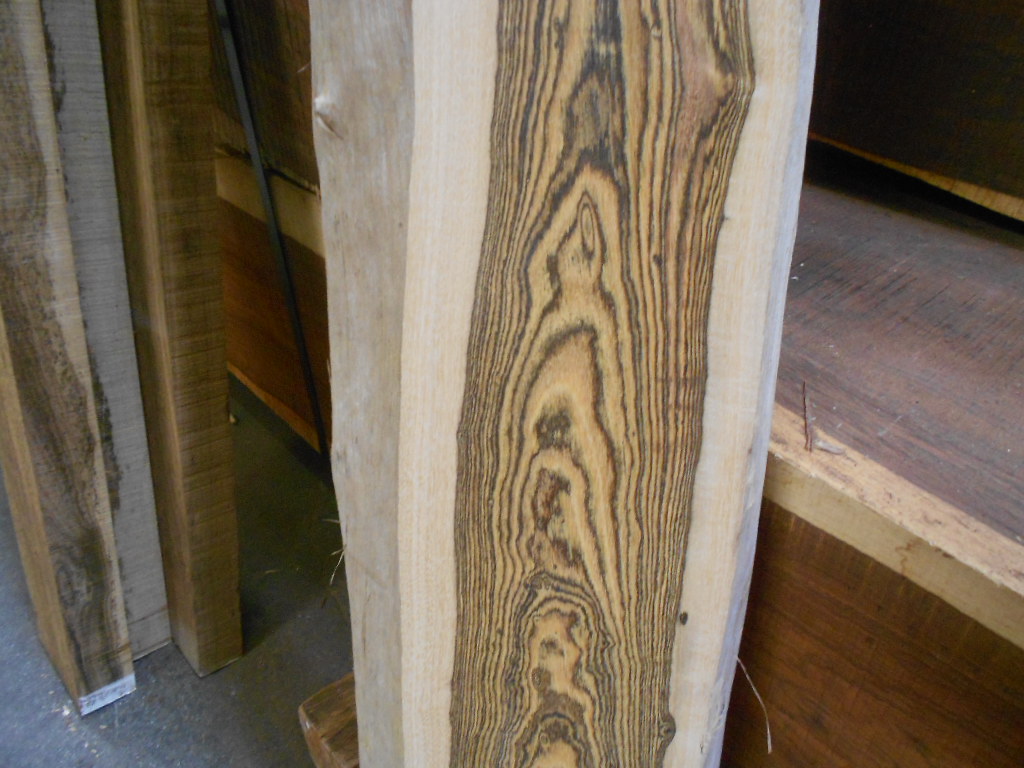 Bocote Slab #503 | Tropical Exotic Hardwoods