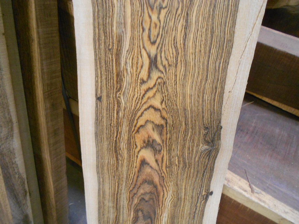 Bocote Slab #503 | Tropical Exotic Hardwoods