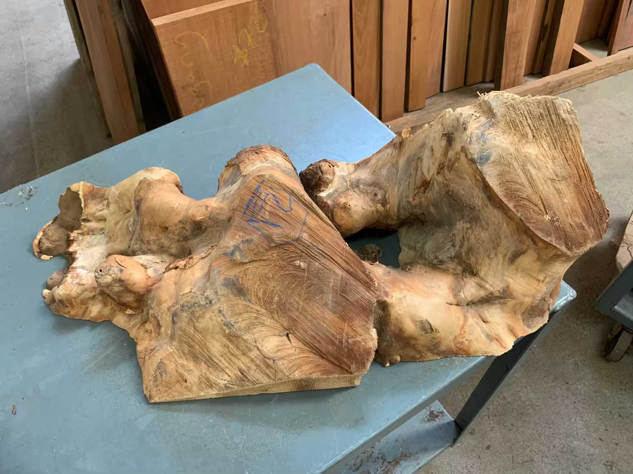 Buckeye Burl #21 | Tropical Exotic Hardwoods