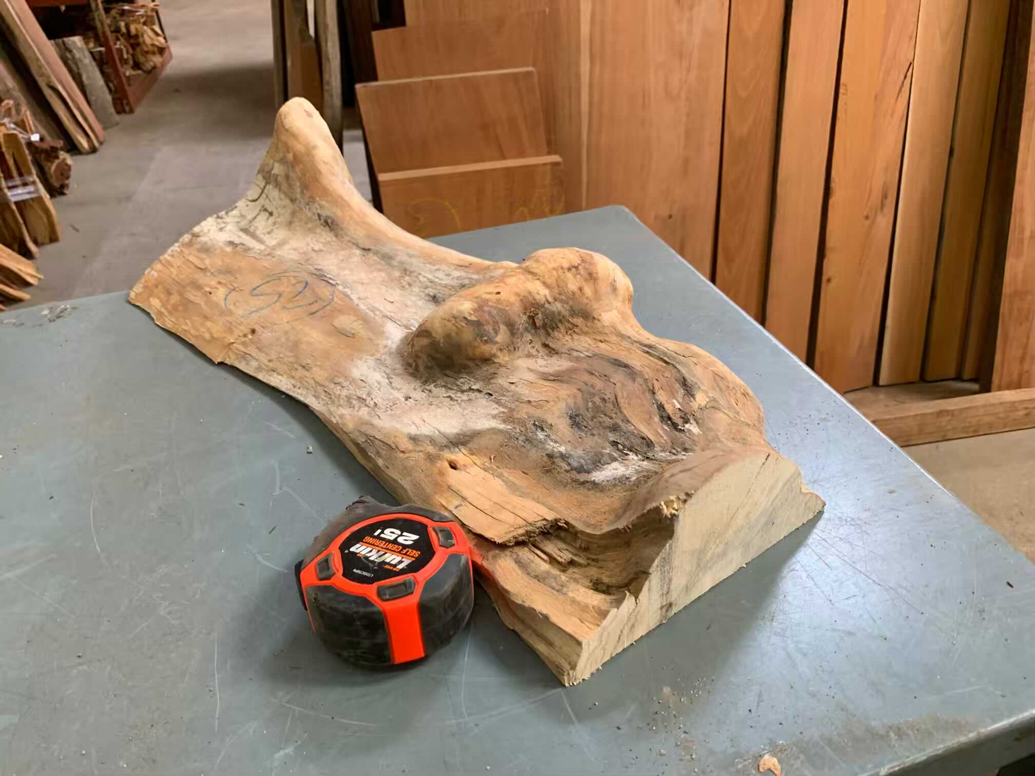 Buckeye Slab #25 | Tropical Exotic Hardwoods