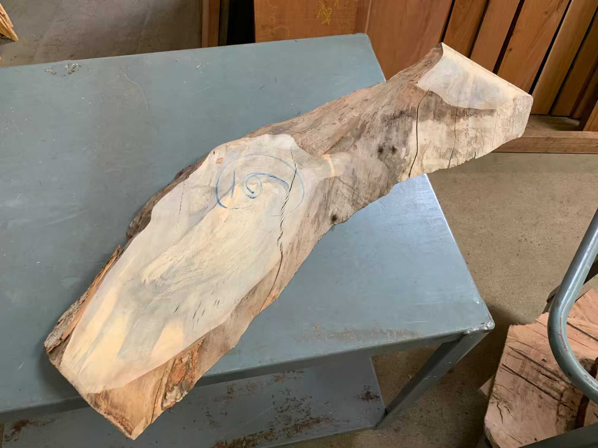 Buckeye Slab #6 | Tropical Exotic Hardwoods