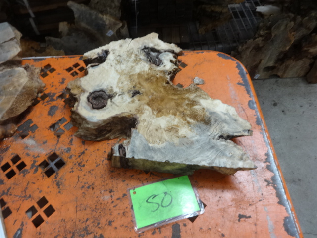 Buckeye Burl #50 | Tropical Exotic Hardwoods