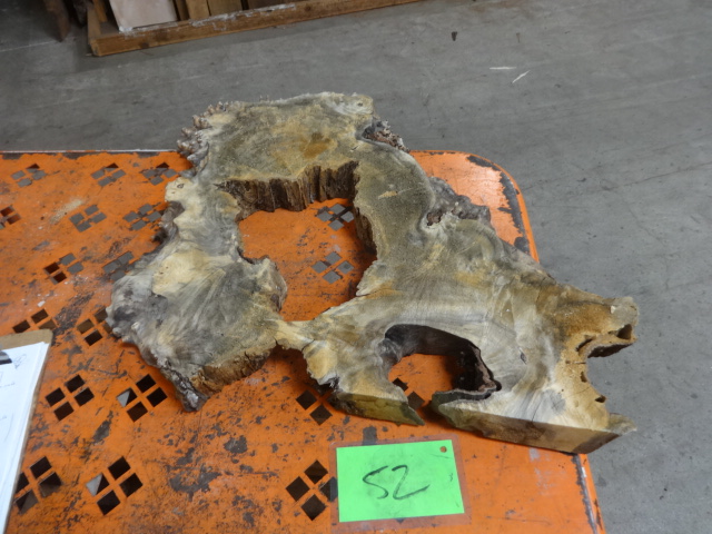 Buckeye Burl #52 | Tropical Exotic Hardwoods