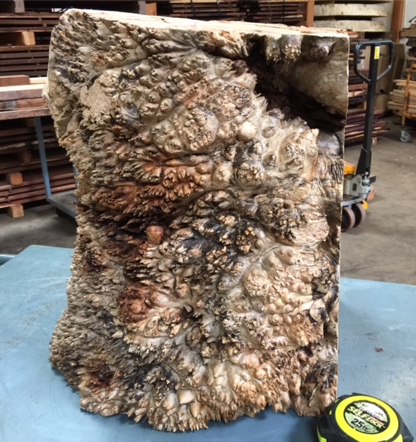 Maple Burl BMP1 | Tropical Exotic Hardwoods
