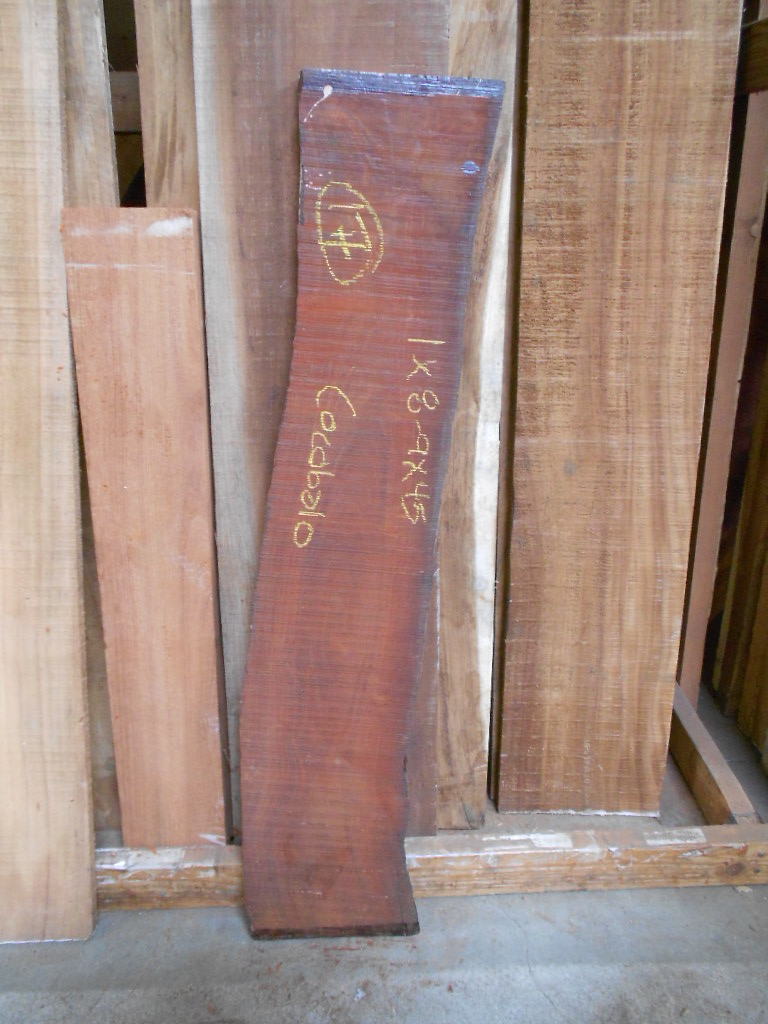 Cocobolo Slab #17 | Tropical Exotic Hardwoods