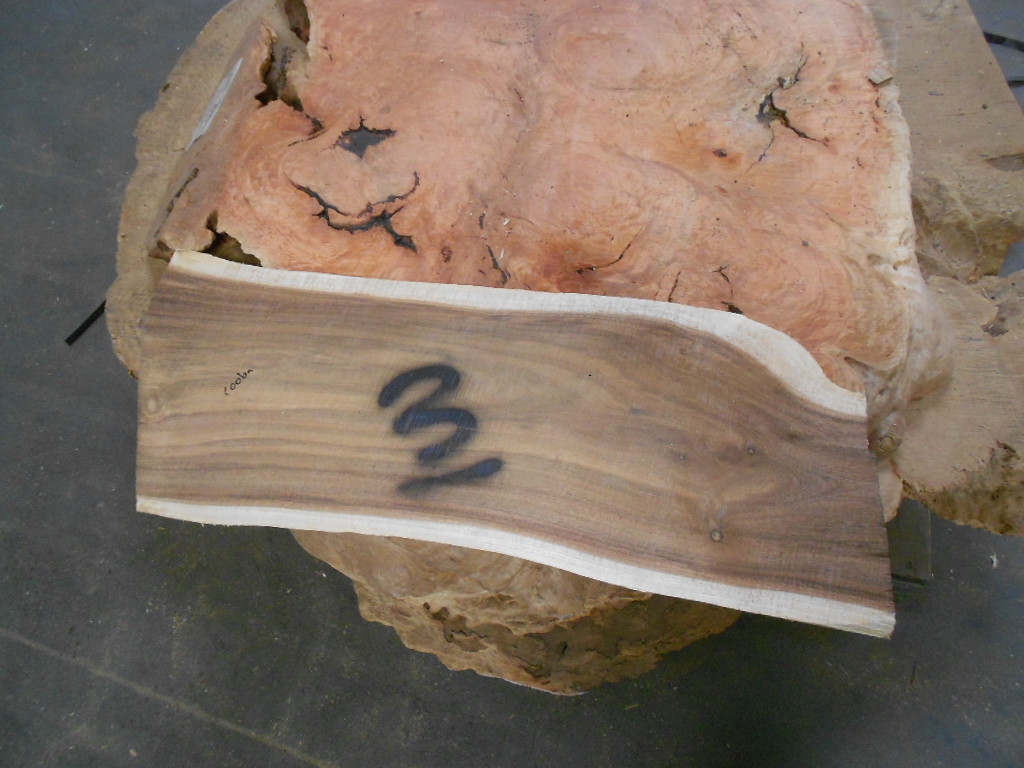 Cooba Slab #3 | Tropical Exotic Hardwoods