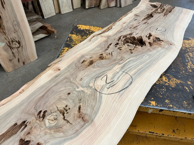 Cypress Slab #2 | Tropical Exotic Hardwoods