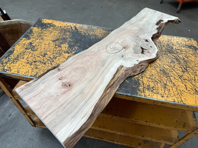 Cypress Slab #6 | Tropical Exotic Hardwoods