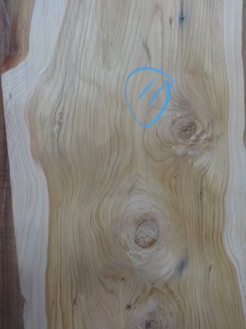 Deodar Cedar Slab #11 One Live Edge | Tropical Exotic Hardwoods