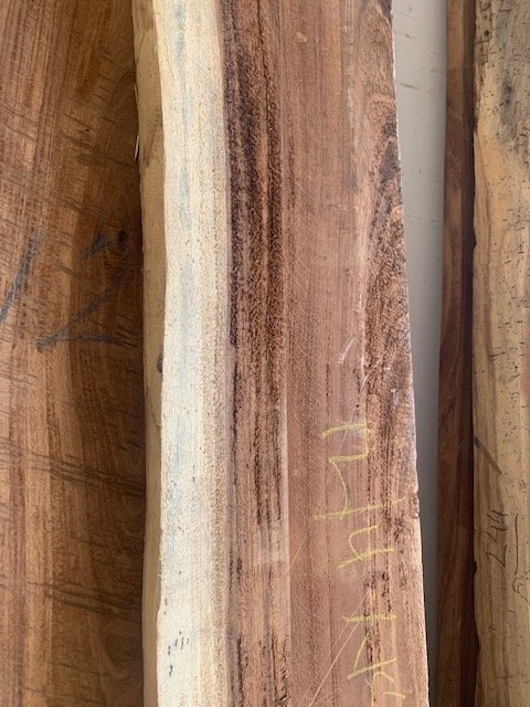 Parota Slab #E One Live Edge | Tropical Exotic Hardwoods