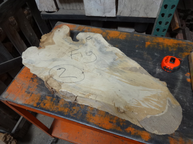 Fig Slab #2 Round | Tropical Exotic Hardwoods